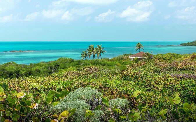 Day Trip to Isla Contoy - Key Points