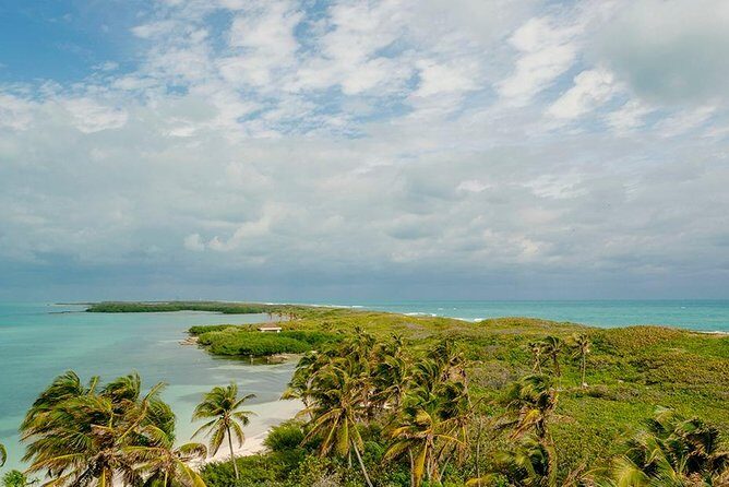 Day Trip to Isla Contoy - Who Is This Tour Best For?