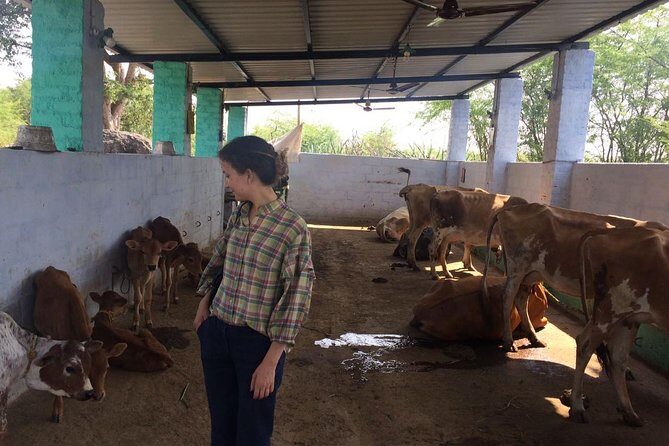 Day trip to Kanchipuram from Chennai - Who Will Enjoy This Tour?