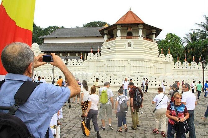 Day Trip to Kandy with Kingfisher Tours - What the Reviews Say