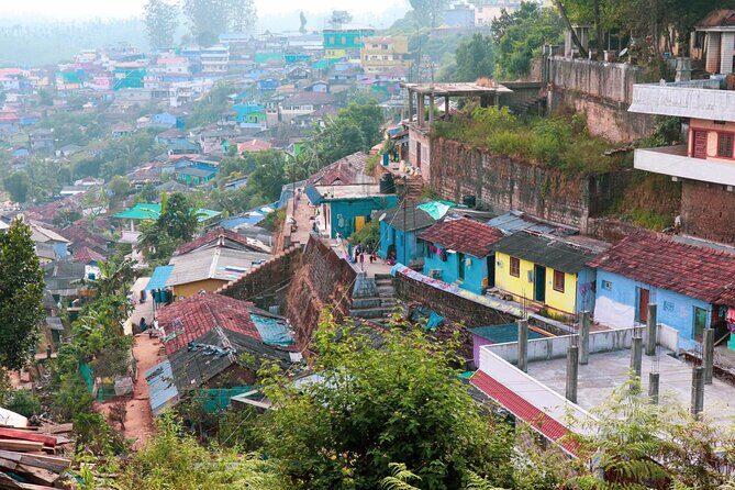 Day Trip to Kaziranga National Park (Guided Private Tour from Guwahati) - Introduction: A Convenient Glimpse into Kaziranga Wildlife