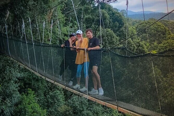 Day Trip to Kinabalu Park and Poring Hot Spring Guided Tour - Key Points: