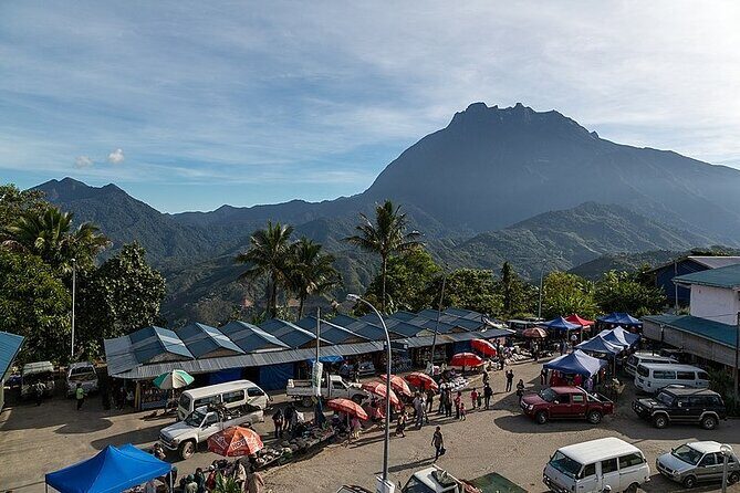 Day Trip to Kinabalu Park and Poring Hot Spring Guided Tour - A Deep Dive Into the Experience