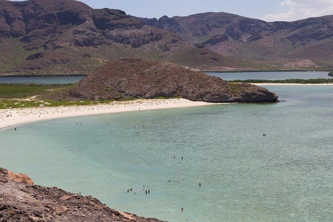 Day Trip to La Paz & Balandra Beach from Cabo San Lucas - Beach Time at Balandra or Tecolote
