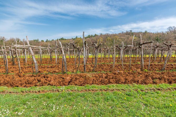 Day Trip to Lipica and Karst - Who Should Consider This Tour?
