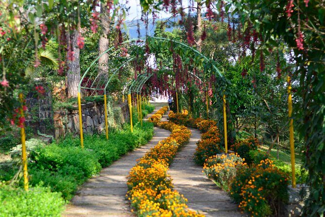 Day Trip to Mawlynnong (Guided Private Sightseeing Experience from Shillong) - Key Points