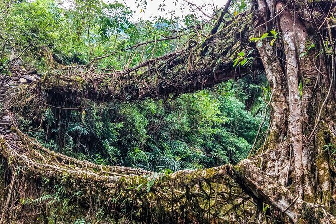 Day Trip to Mawlynnong (Guided Private Sightseeing Experience from Shillong) - The Journey Begins in Shillong