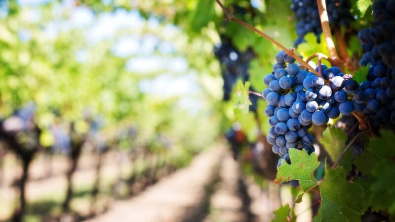 Day trip to Moldova - visit Chisinau and Cricova Winery - Key Points