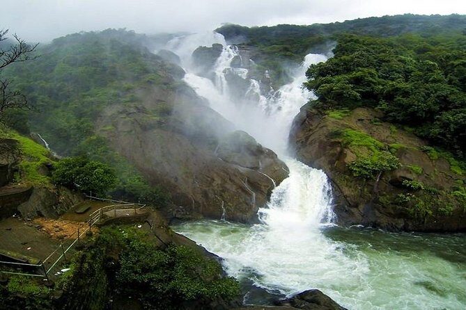 Day Trip to Mollem National Park Including Dudhsagar Falls and Jeep Safari from Goa - The Journey Begins: From Hotel to Dudhsagar Falls
