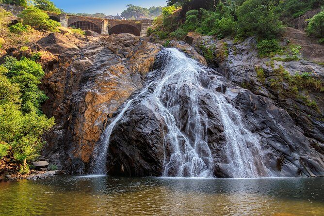 Day Trip to Mollem National Park Including Dudhsagar Falls and Jeep Safari from Goa - Practical Details and Tips