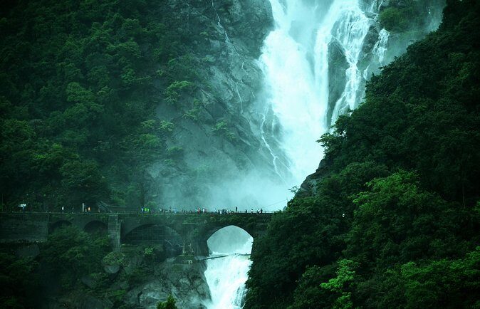Day Trip to Mollem National Park Including Dudhsagar Falls and Jeep Safari from Goa - A Word About Reviews and Real Experiences