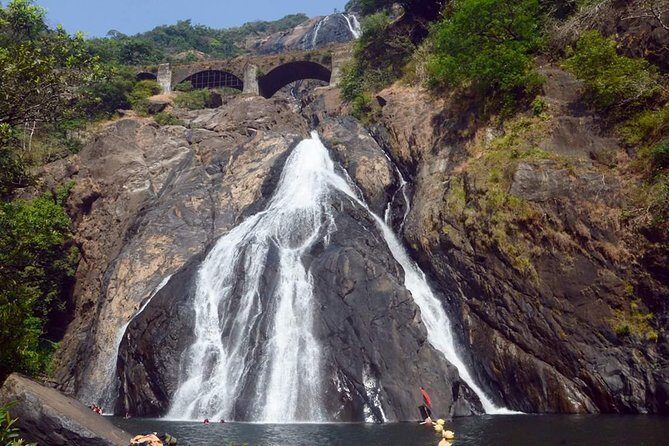 Day Trip to Mollem National Park Including Dudhsagar Falls and Jeep Safari from Goa - Final Thoughts: Is This Tour Worth Your Time?