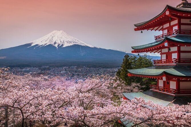 Day Trip To Mount Fuji and Hakone from Tokyo with English Guide - The Itinerary: What to Expect and Why It Matters