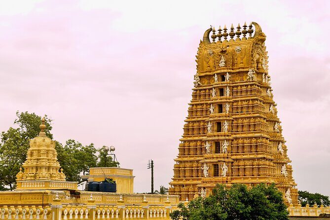 Day Trip to Mysore (Guided Private Sightseeing Experience from Bangalore) - Key Points