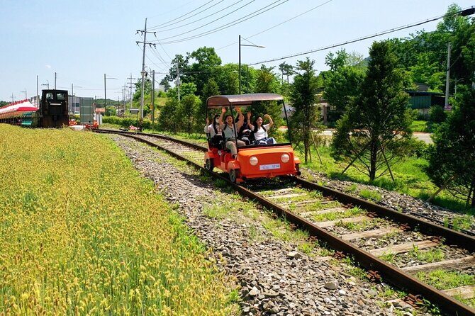 Day Trip to Nami Island with Rail bike and The Garden of Morning Calm - An In-Depth Look at the Day Trip