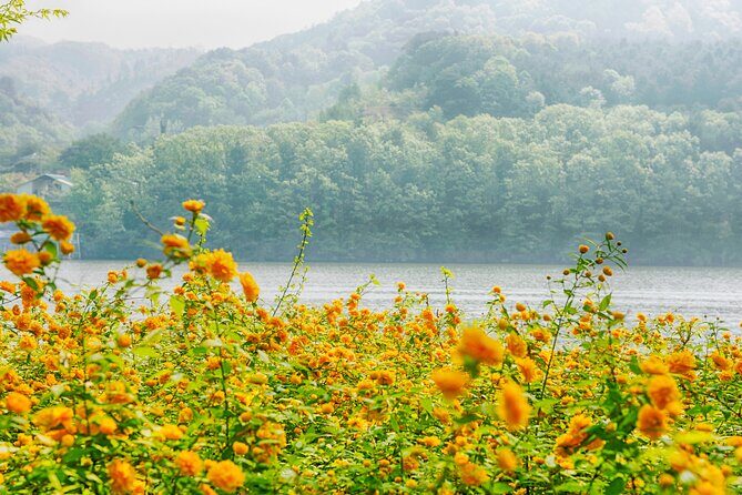 Day Trip to Nami Island with Rail bike and The Garden of Morning Calm - Practical Tips for Travelers