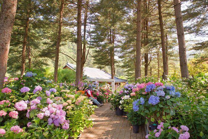 Day Trip to Nami Island with Rail bike and The Garden of Morning Calm - FAQ