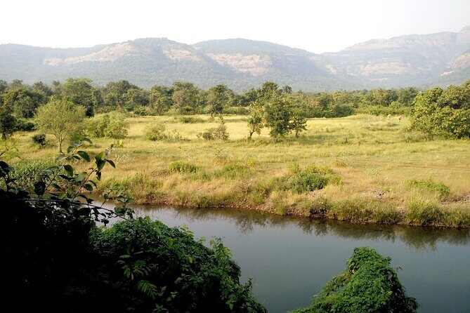 Day Trip to Nandi Hills (Guided Private Sightseeing Experience from Bangalore) - Who Would Enjoy This Tour?