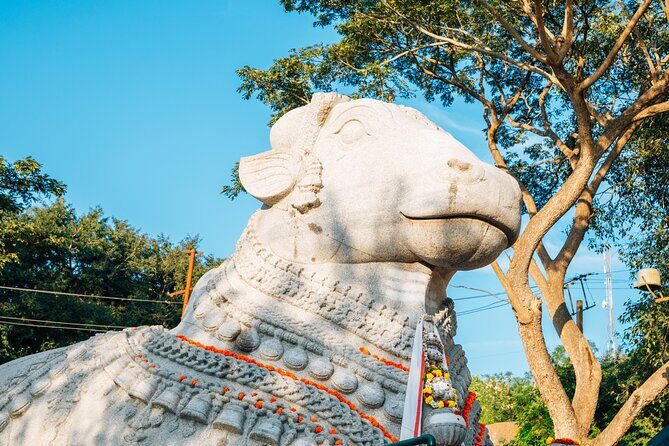 Day Trip to Nandi Hills (Guided Private Sightseeing Experience from Bangalore) - The Sum Up: Is This Tour Worth It?