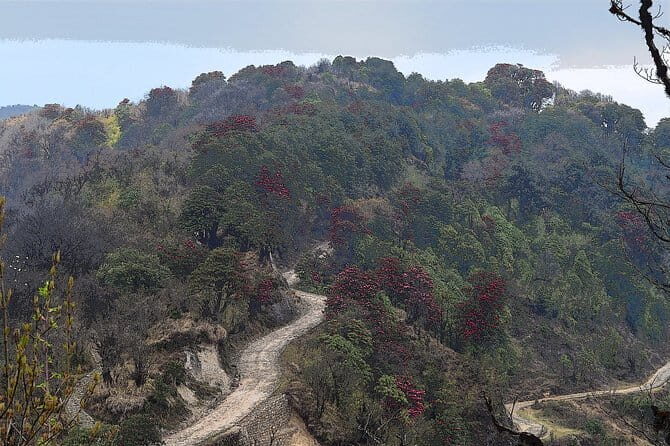 Day Trip to Nature Trails (Guided Private Sightseeing Experience from Bangalore) - A Deep Dive into the Day Trip from Bangalore