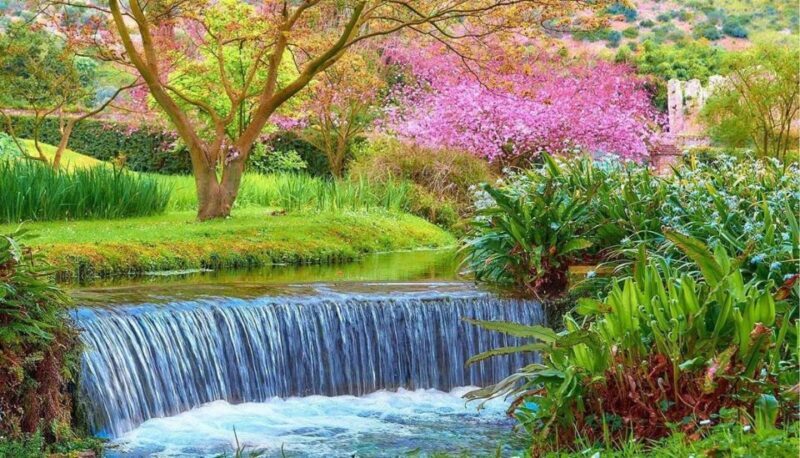 Day Trip to Ninfa's Garden and Sermoneta's Castle from Rome - Who Should Consider This Tour?