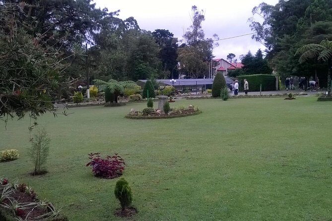 Day Trip to Nuwara eliya from Kandy - Authentic Experiences and Authenticity