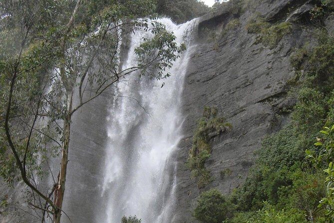 Day Trip to Nuwara eliya from Kandy - The Sum Up