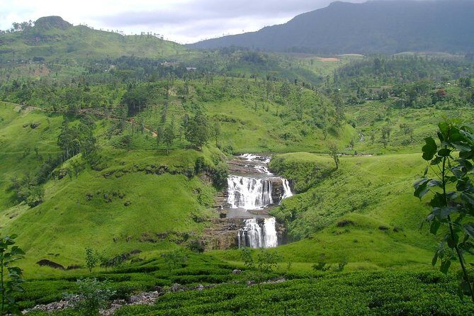 Day Trip to Nuwara Eliya with Kingfisher Tours - Authenticity and Practicality