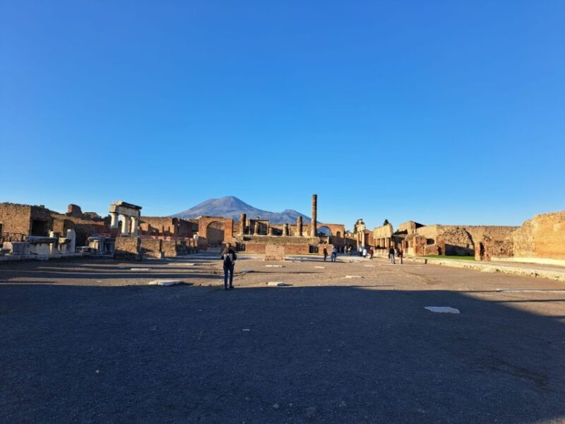 Day Trip to Pompeii & Vesuvius from Naples - Key Points
