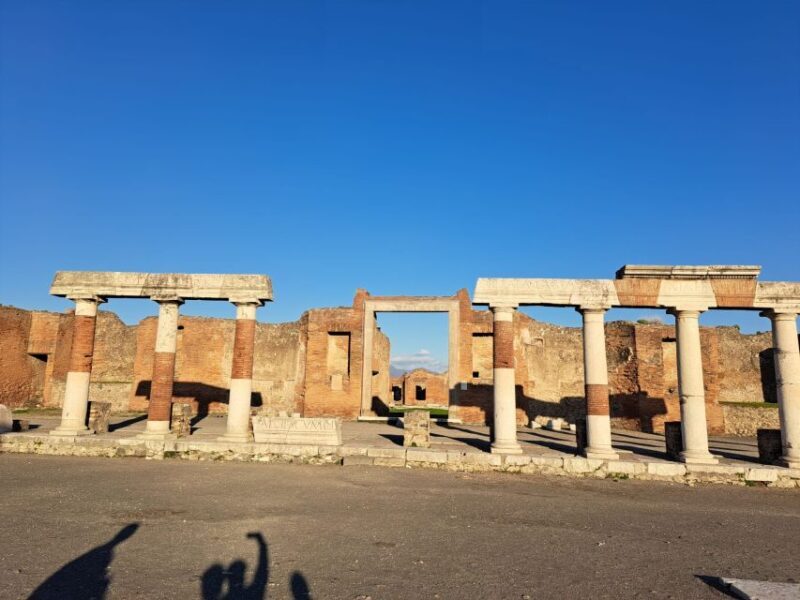 Day Trip to Pompeii & Vesuvius from Naples - The Vesuvius Ascent: Hiking with a View