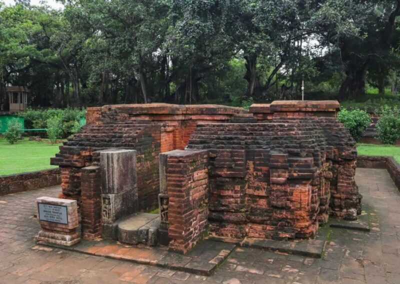 Day Trip to Puri (Guided Private Tour from Bhubaneswar) - An In-Depth Look at the Puri Day Trip