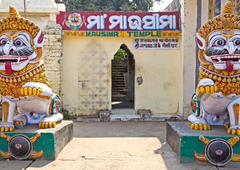 Day Trip to Puri (Guided Private Tour from Bhubaneswar) - Who Will Love This Tour?