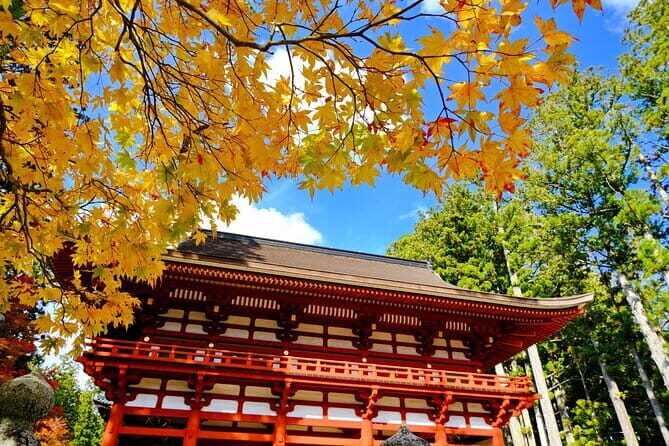 Day Trip to Sacred Sites at Koyasan from Kyoto - Introduction: An Authentic Glimpse into Koyasan’s Sacred World