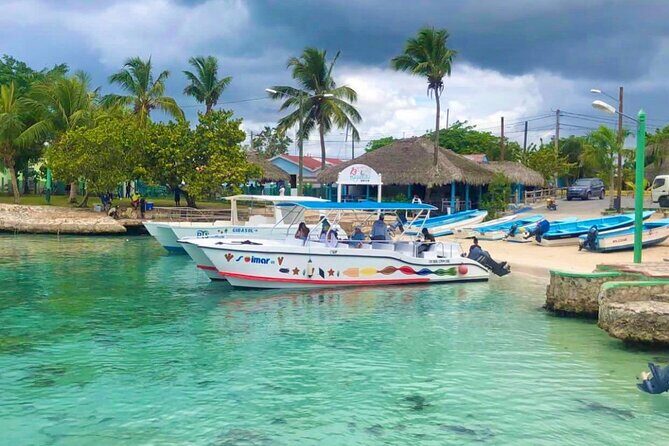 Day Trip to Saona Island with Lunch and Open Bar - Who Would Enjoy This Tour?