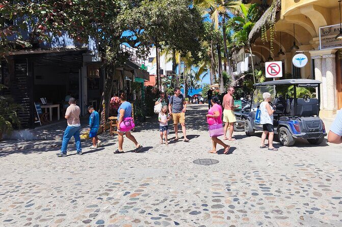 Day trip to sayulita - Key Points