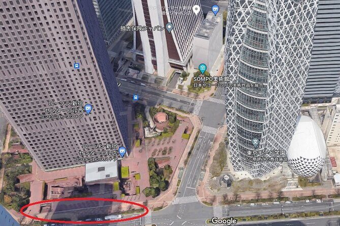 Day Trip to See the Snow Monkeys from Shinjuku with Lunch Buffet - Considerations for Travelers