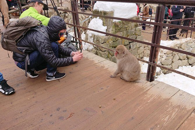 Day Trip to See the Snow Monkeys from Shinjuku with Lunch Buffet - Who Is This Tour Best For?