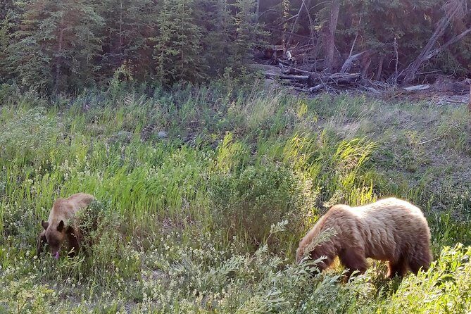 Day-Trip To Skagway - Gateway to the Klondike Goldrush - FAQ