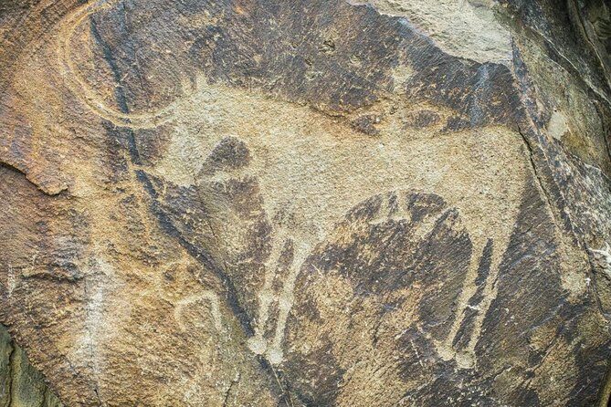 Day Trip to Tanbaly Petroglyphs - Authentic Experiences and Authenticity Challenges