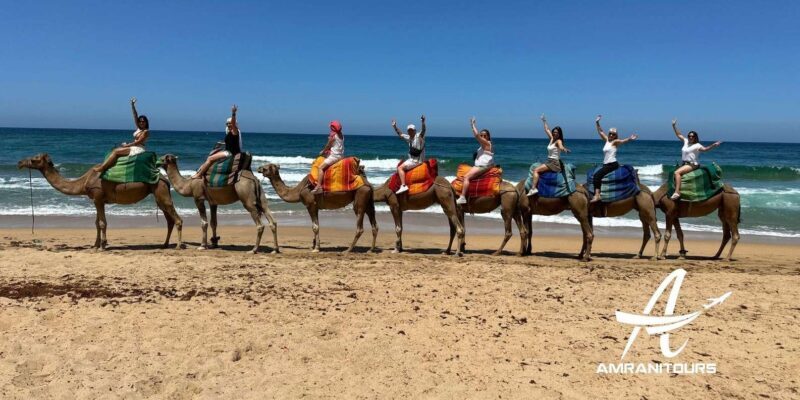 Day trip to Tangier from Tarifa all inclusive - Market Adventures and Cultural Discoveries