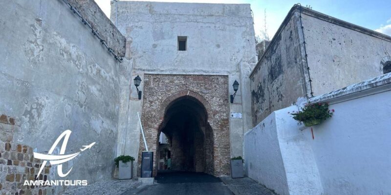 Day trip to Tangier from Tarifa all inclusive - Return Journey: Ferry and Reflection