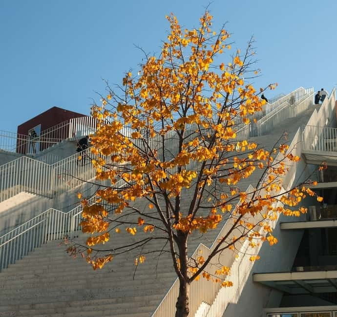 Day trip to Tirana & Kruja - The Sum Up: Is This Tour Right for You?