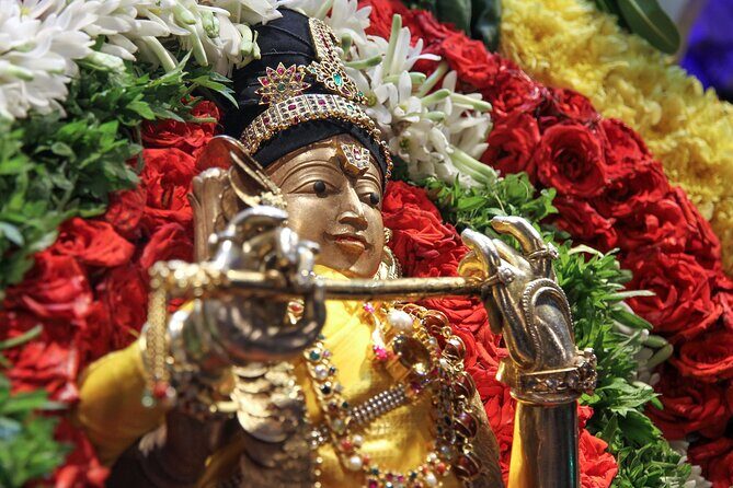 Day trip to Tiruvannamalai Temple &Sri Ramana Ashram from Pondicherry with lunch - Who Should Consider This Tour?