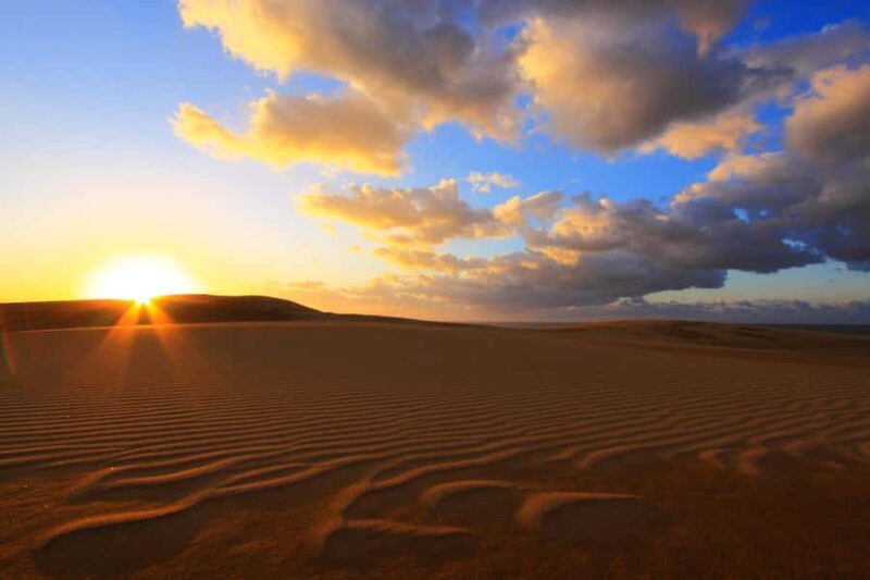 Day Trip to Tottori from Osaka: Dunes, Sake & Scenic Views - An In-Depth Look at the Tour