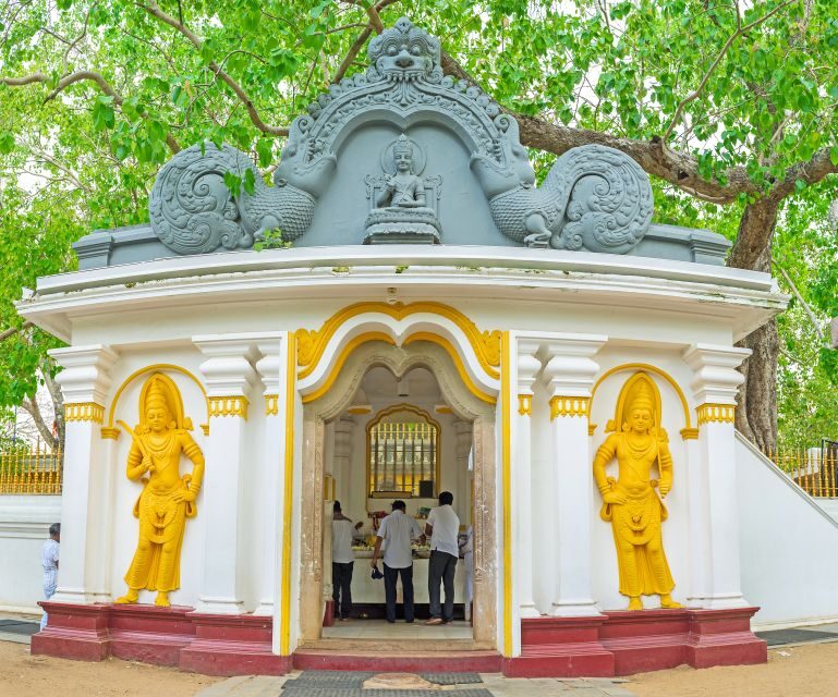 Day trip to UNESCO city Anuradhapura from Colombo - Who Should Consider This Tour?