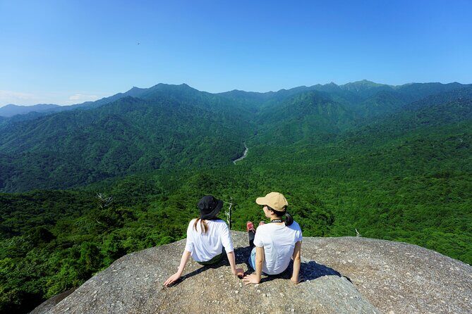 Day Trip to Yakushima by High Speed Jetfoil Toppy from Kagoshima - The Journey to Yakushima: Fast and Convenient Marine Travel
