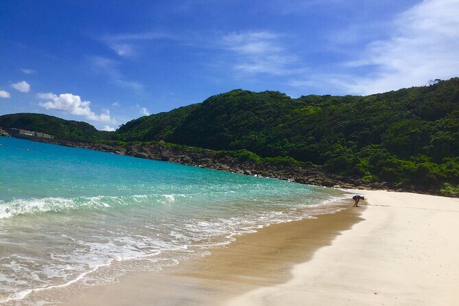 Day Trip to Yakushima by High Speed Jetfoil Toppy from Kagoshima - FAQ