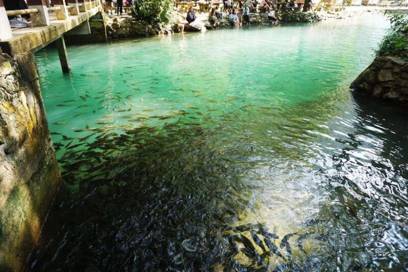 Day Trip Vientiane - VangVieng by Express Train - Who Is This Tour Best For?