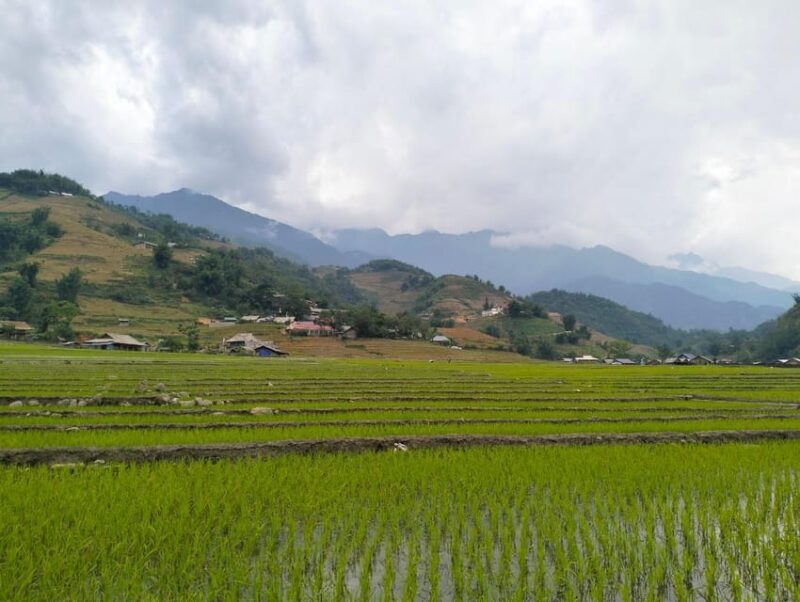Day Trip Visit Y Linh Ho,Lao Chai Ta Van - Cat Cat Village - Final Thoughts
