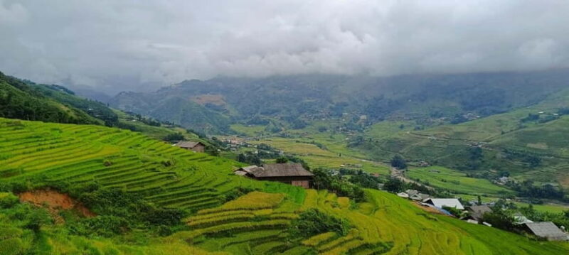 Day Trip Visit Y Linh Ho,Lao Chai Ta Van - Cat Cat Village - FAQs